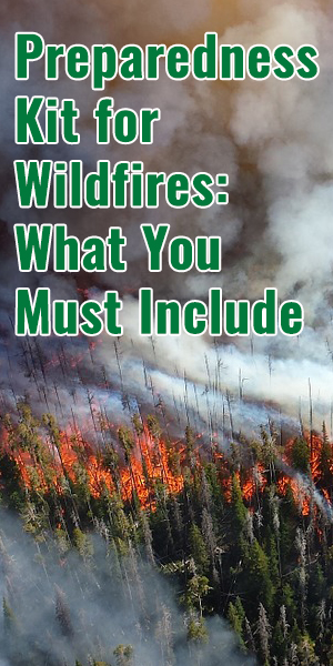 Preparedness Kit for Wildfires: What You Must Include