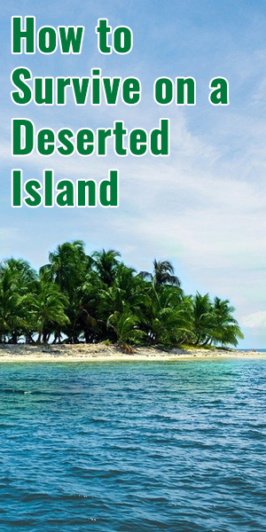 How to Survive on a Deserted Island