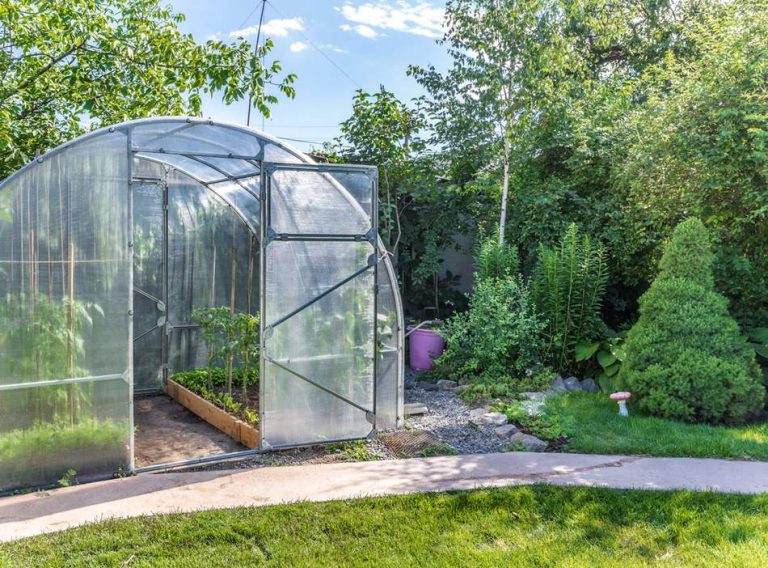 Off Grid Living: The Complete How-To Guide