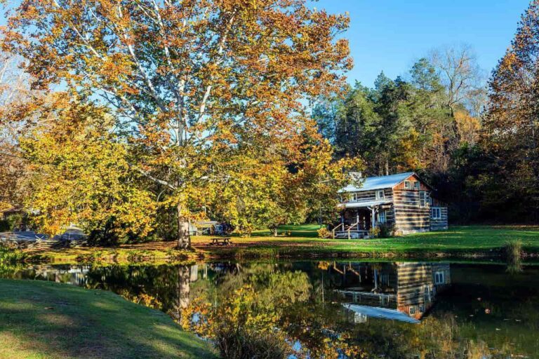 Off Grid Homestead: How to Make It Possible